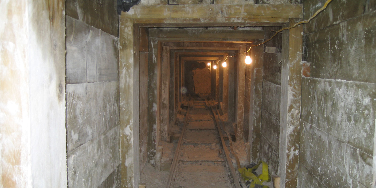 Allen Watson Limited - Allen Watson